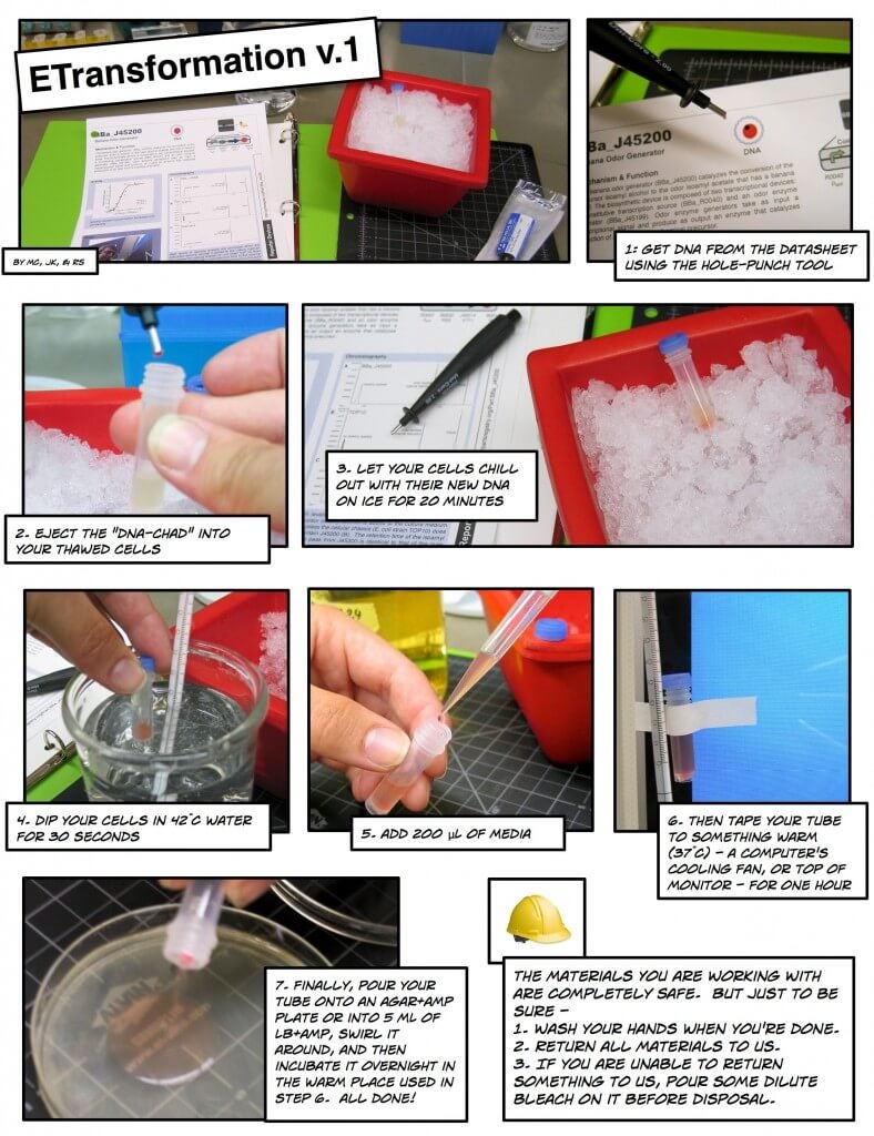 Do It Yourself Biohacking