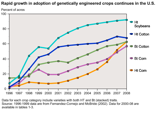 The Genetically Modified Food You Eat