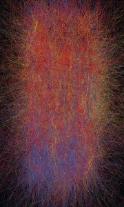 Henry Markram’s Artificial Brain in a Computer (Video)
