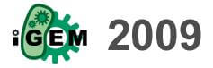 iGEM 2009: Synthetic Biology Competition Bigger than Ever this Halloween