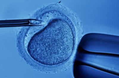 In Vitro Fertilization About to Go On Sale
