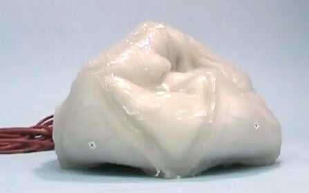 Nothing Can Stop the Blob Bot