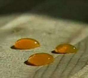 Impressive Nano Layer of Liquid Glass To Coat Every Surface in Your Life