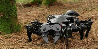 New Must-See Video of the Spectacular A-Pod Ant Robot