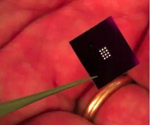 Programmable Bio-Nano-Chips: First Viable Medical Lab on a Chip?