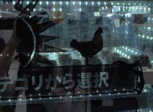 This Next Generation Vending Machine Has A Touchscreen And A 65-Inch HD ...