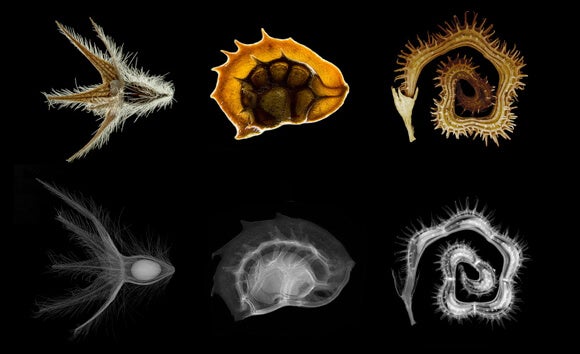 Stunning Visuals From the Edge of Science and Engineering