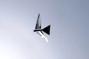 Video Shows Robo Raven Diving, Spiraling, Flipping—and Getting Attacked ...