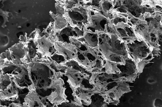 Lab-Grown Neurons Deliver a Real-Time Glimpse Into How the Brain Works