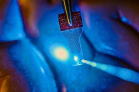 Transparent Graphene-Based Implants to Grant Clearer View of the Brain