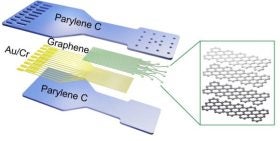Transparent Graphene-Based Implants to Grant Clearer View of the Brain