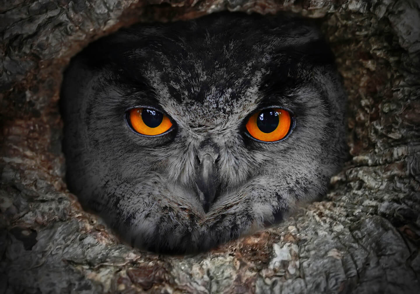 Can AI save us from AI?