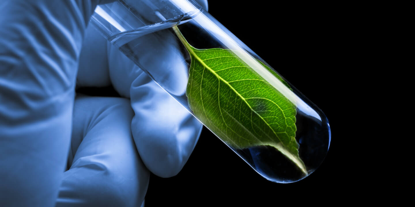 Should scientists attempt to create artificial life?