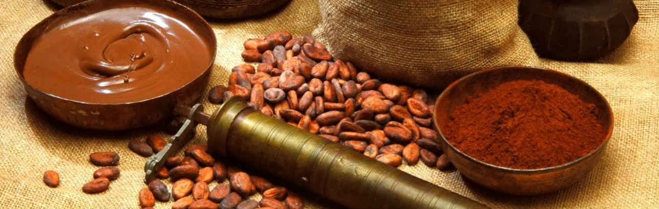 What’s the Future of Chocolate? Tech, Innovation, and Human Connection