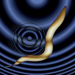 Brain-Controlling Sound Waves Used to Steer Genetically Modified Worms