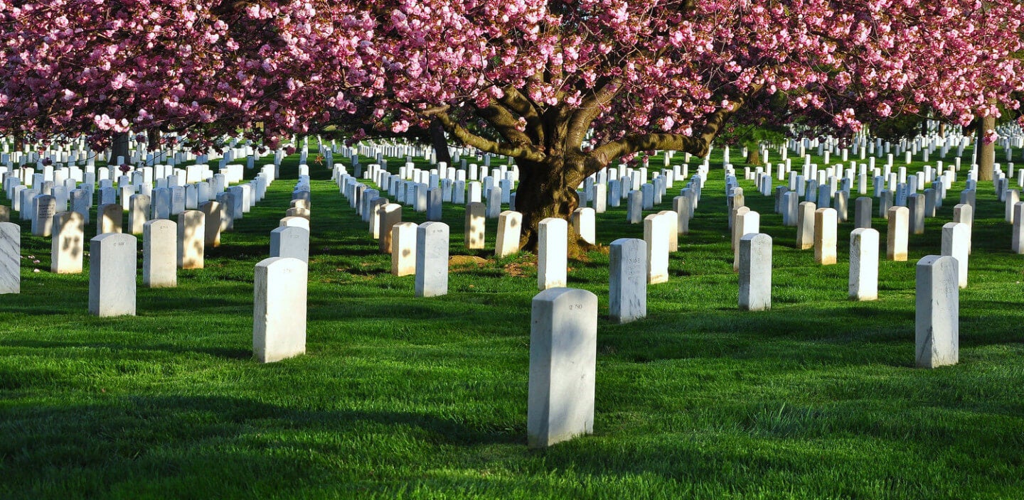 How to Speak to the Dead: Gather Their DNA For Science