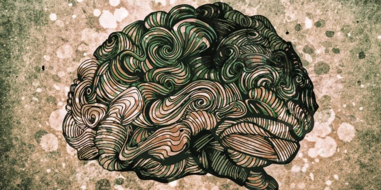 The Tiny Brain Chip That May Supercharge Your Mind