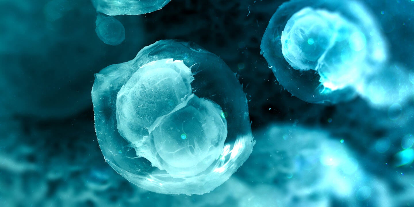 Designer Babies and the New Technology of Having Children