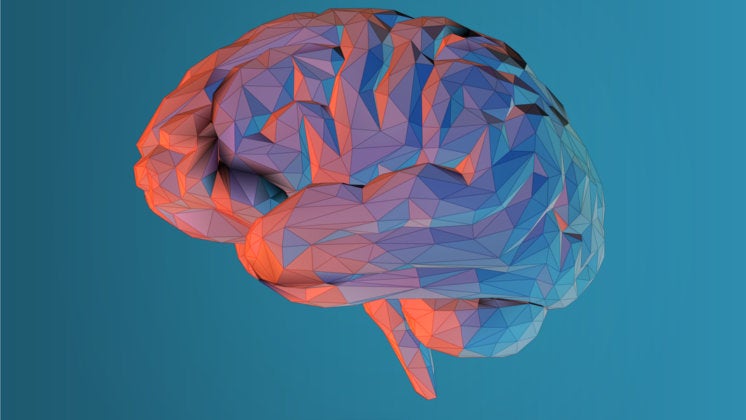 The Brain: A Radical Rethink Is Needed to Understand It