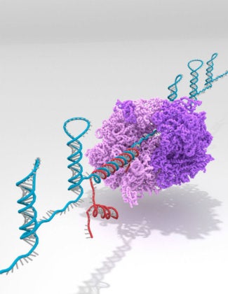 Biocomputers Made From Cells Can Now Handle More Complex Logic