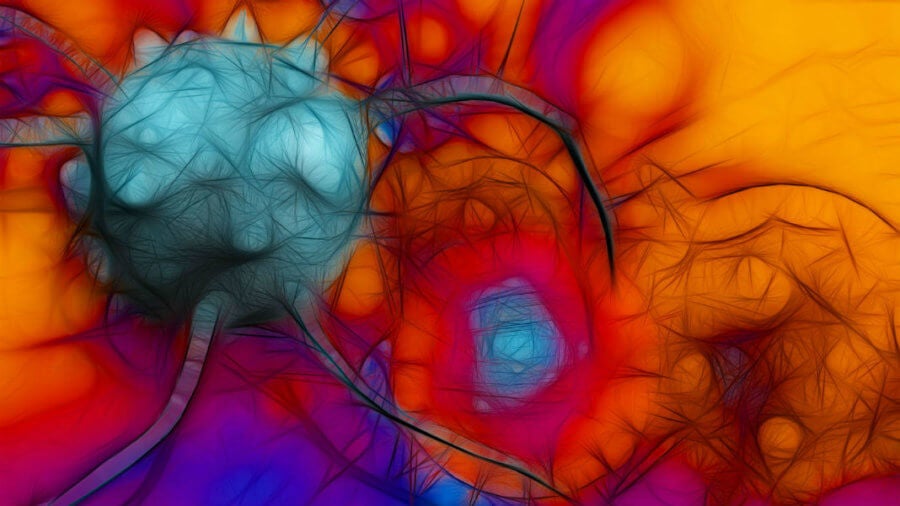 The Future of Cancer Treatment Is Personalized and Collaborative