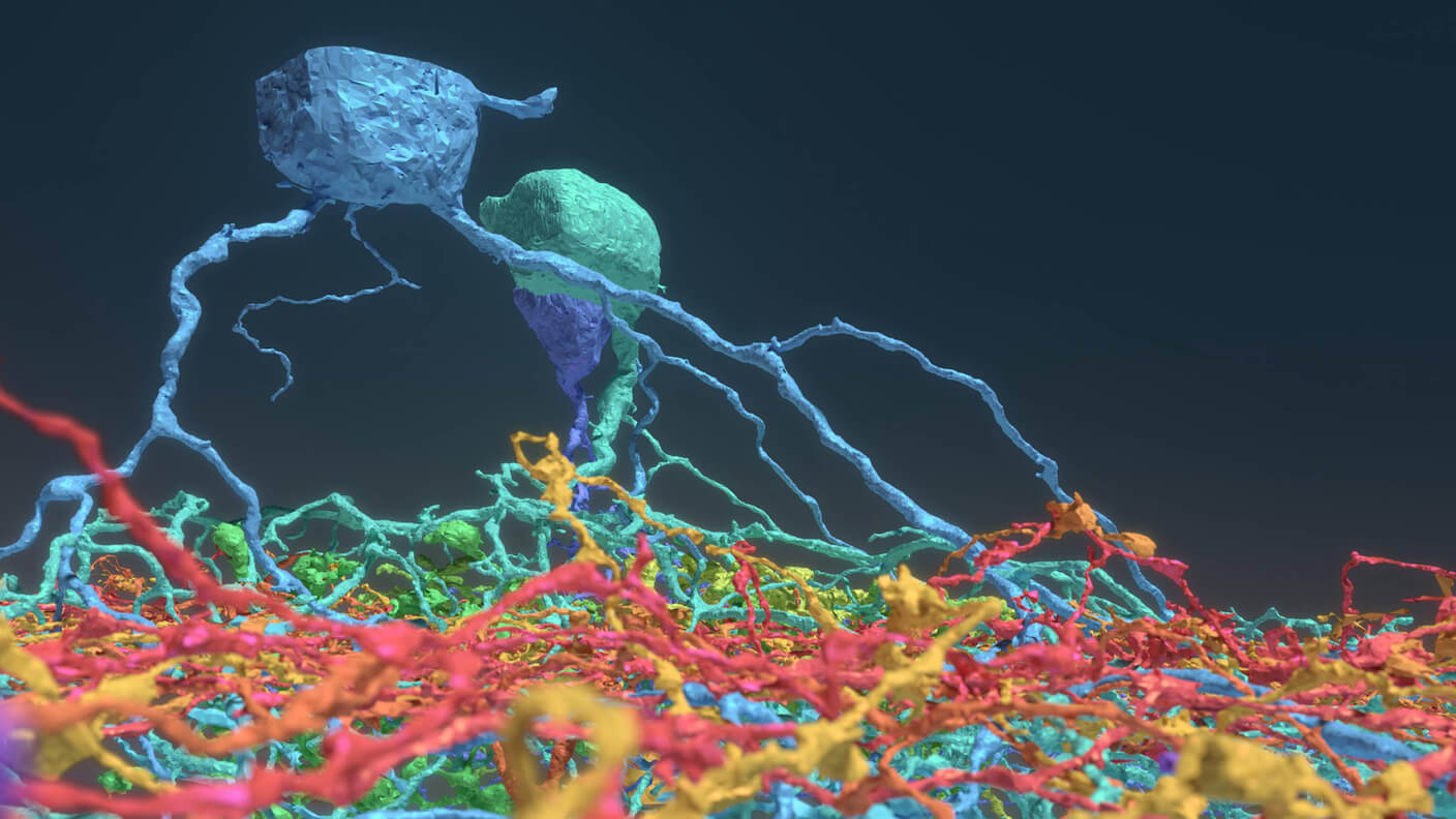 A Quarter Million Gamers Helped Build This Incredibly Detailed Map of ...