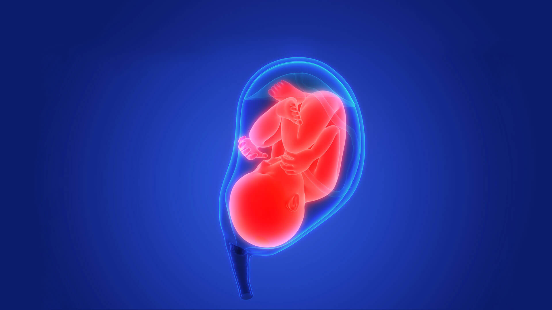 Disrupting Reproduction: Two New Advances in Tech-Assisted Baby-Making