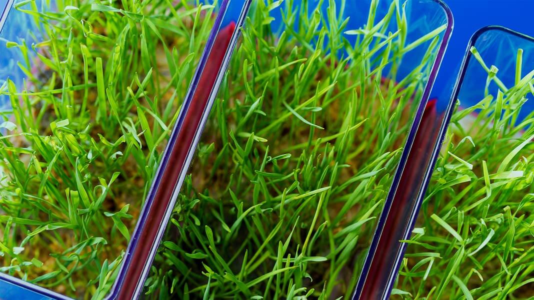 Demystifying GMOs: New Research Shows Unexpected Changes in Plant DNA