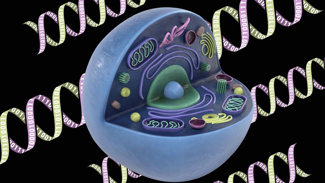 Cellular Computers Get a Boost With CRISPR