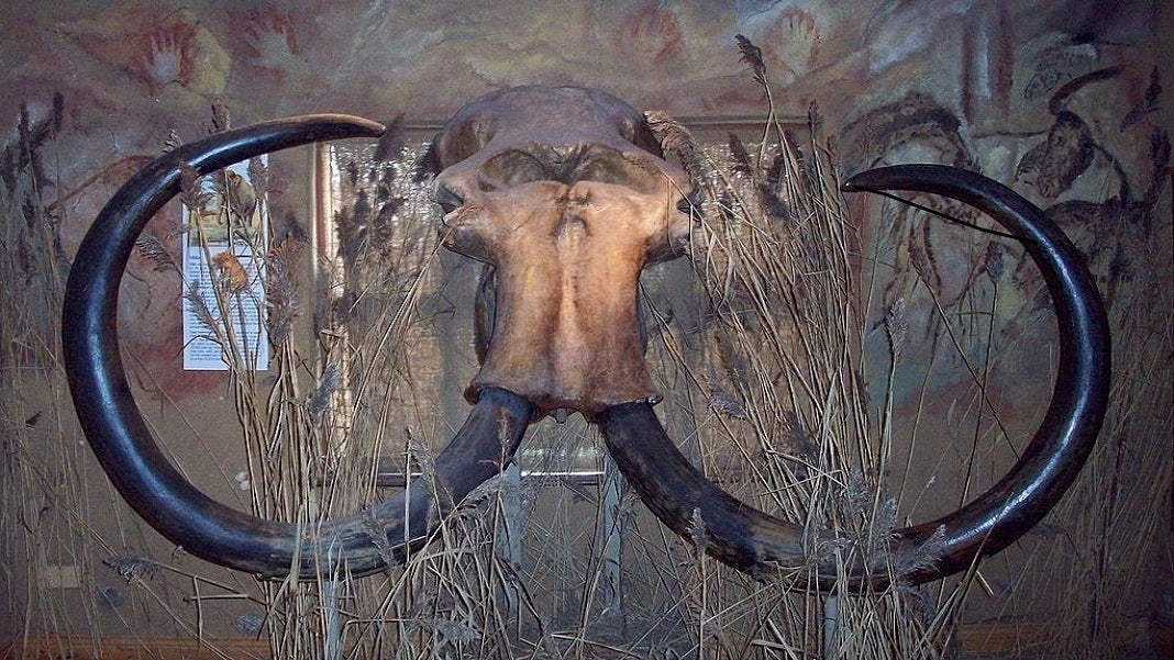 Can We Resurrect Extinct Species? Scientists Put Jurassic Park to the Test