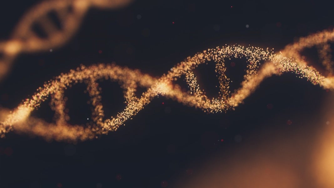 Quantum Biology Could Revolutionize Our Understanding of How Life Works