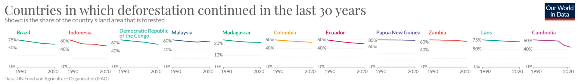 Humans Destroyed Forests for Thousands of Years. We Can Become the ...