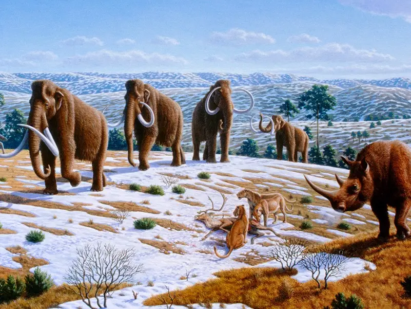 when was the hunter gatherer period