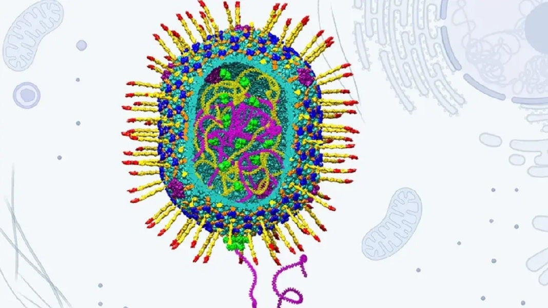 A Nasty Virus That Infects Bacteria Could Be Key to Improved Gene Therapies