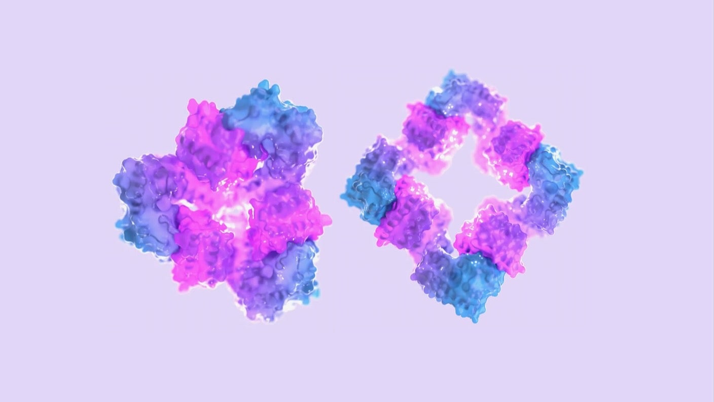 ‘Startling Advance’ in Designer Proteins Opens a World of Possibility ...