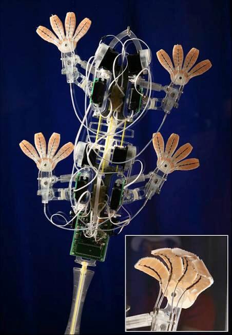 StickyBot Mimics Geckos To Climb Walls