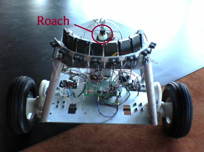 Roach Acts As Brain for Robot (Video)