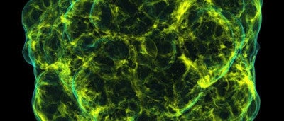 Watching This Simulated Star Die Is Mesmerizing…and Good Science Too