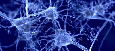 How the Brain Makes Memories: Scientists Tap Memory’s Neural Code