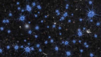 This Amazing Computer Chip Is Made of Live Brain Cells