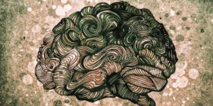 The Tiny Brain Chip That May Supercharge Your Mind