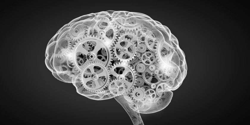 This One Equation May Be the Root of Intelligence