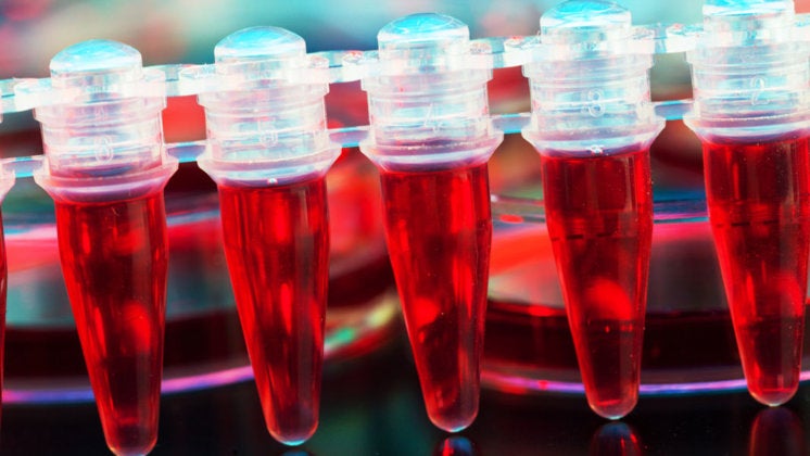 Limitless Lab-Grown Blood Is 'Tantalizingly Close' After 20 Years