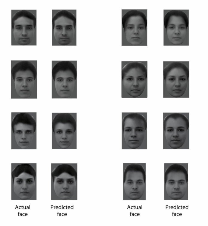 Forget Police Sketches: Researchers Perfectly Reconstruct Faces by ...