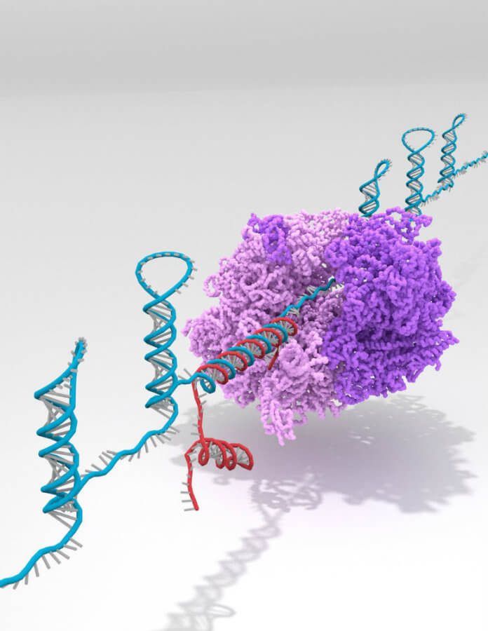 Biocomputers Made From Cells Can Now Handle More Complex Logic