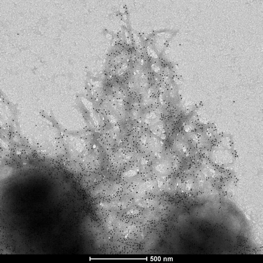 This 'Living Touch Screen' Is Made out of Bacteria and Gold