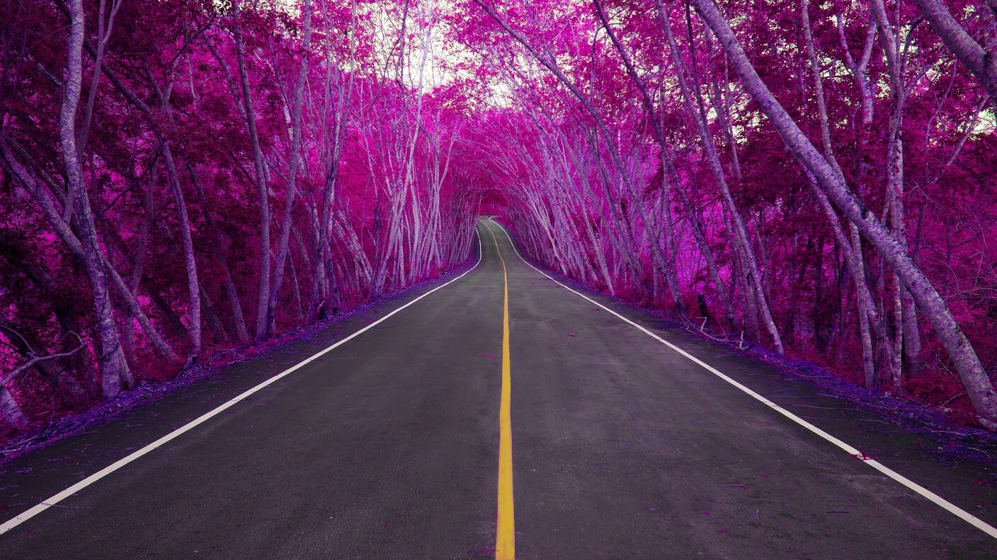 road-forest-colorful - Singularity Hub