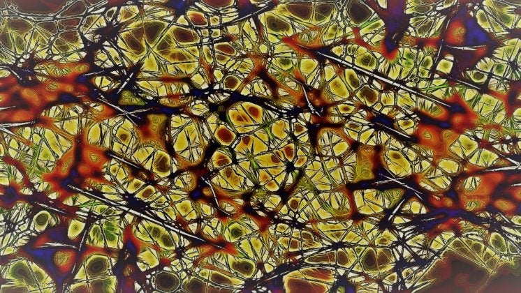 Scientists Discovered 'Mini-Computers' in Human Neurons—and That's ...