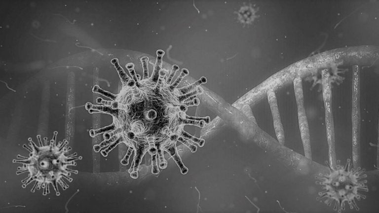 Humans Are 8% Virus—How Ancient Viral DNA in Our Genome Plays a Role in ...