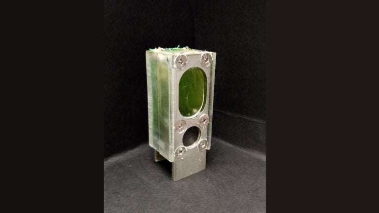 This Algae Powered a Computer for a Year With Just Water and Sunlight